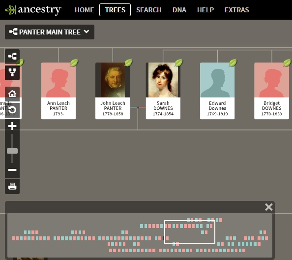 The Family tree is now on Ancestry.couk - Panter Family History